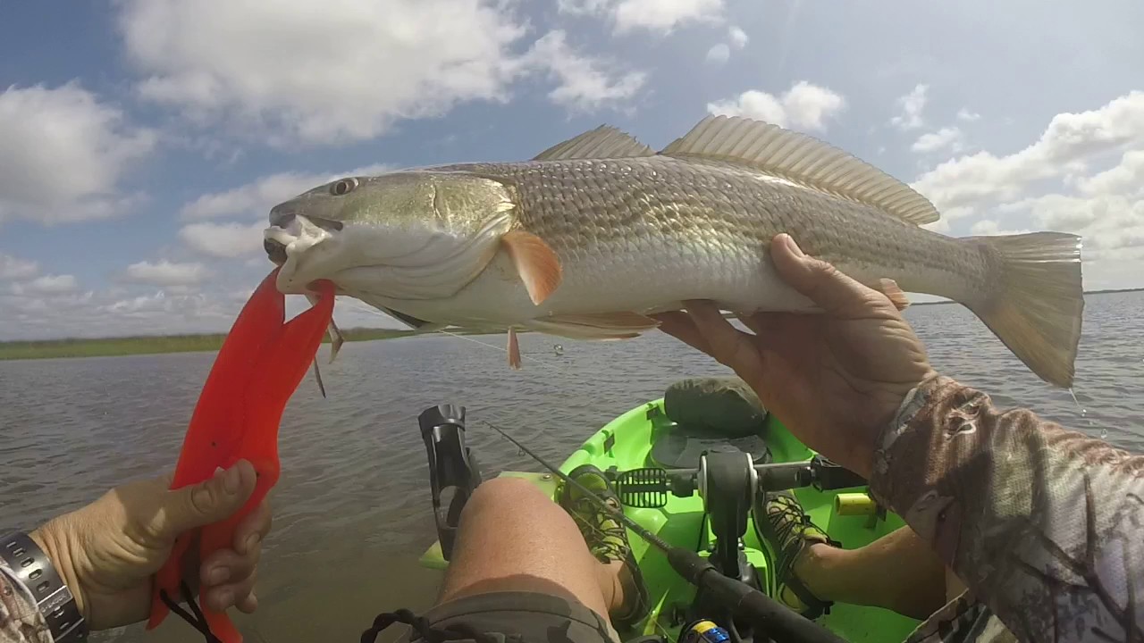 Red Fishing in North Florida - YouTube