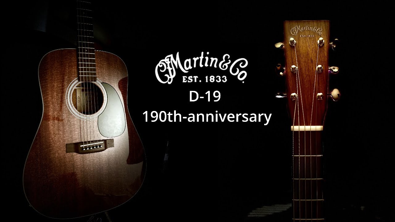 Martin D19 190th Anniversary Acoustic Guitar - YouTube