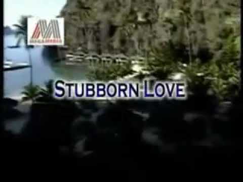 Stubborn Love Karaoke with lyrics