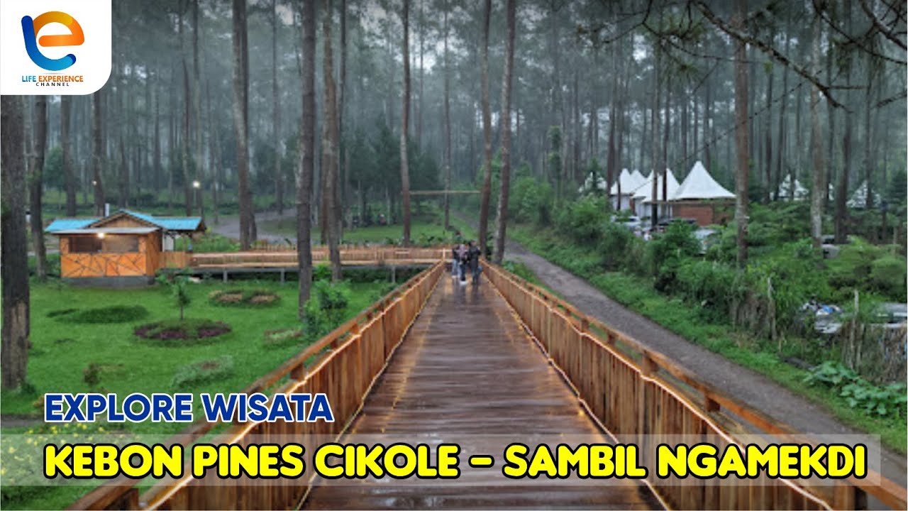 WISATA ALAM KEBON PINES CIKOLE LEMBANG COCOK NGAMEKDI SAMBIL KAMPING ...