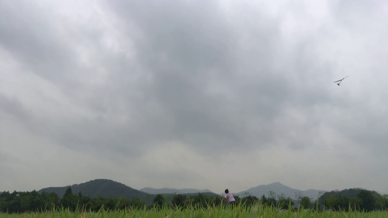 VORTEX3 F3K DLG flying - YouTube