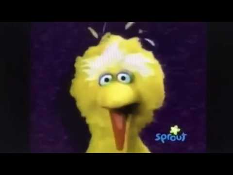 Sesame Street Toodle Loo 1998 - YouTube