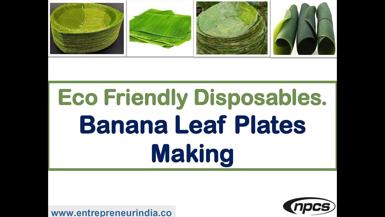 Eco Friendly Disposables Banana Leaf Plates Making YouTube Eco Friendly Disposables Banana Leaf Plates Making YouTube