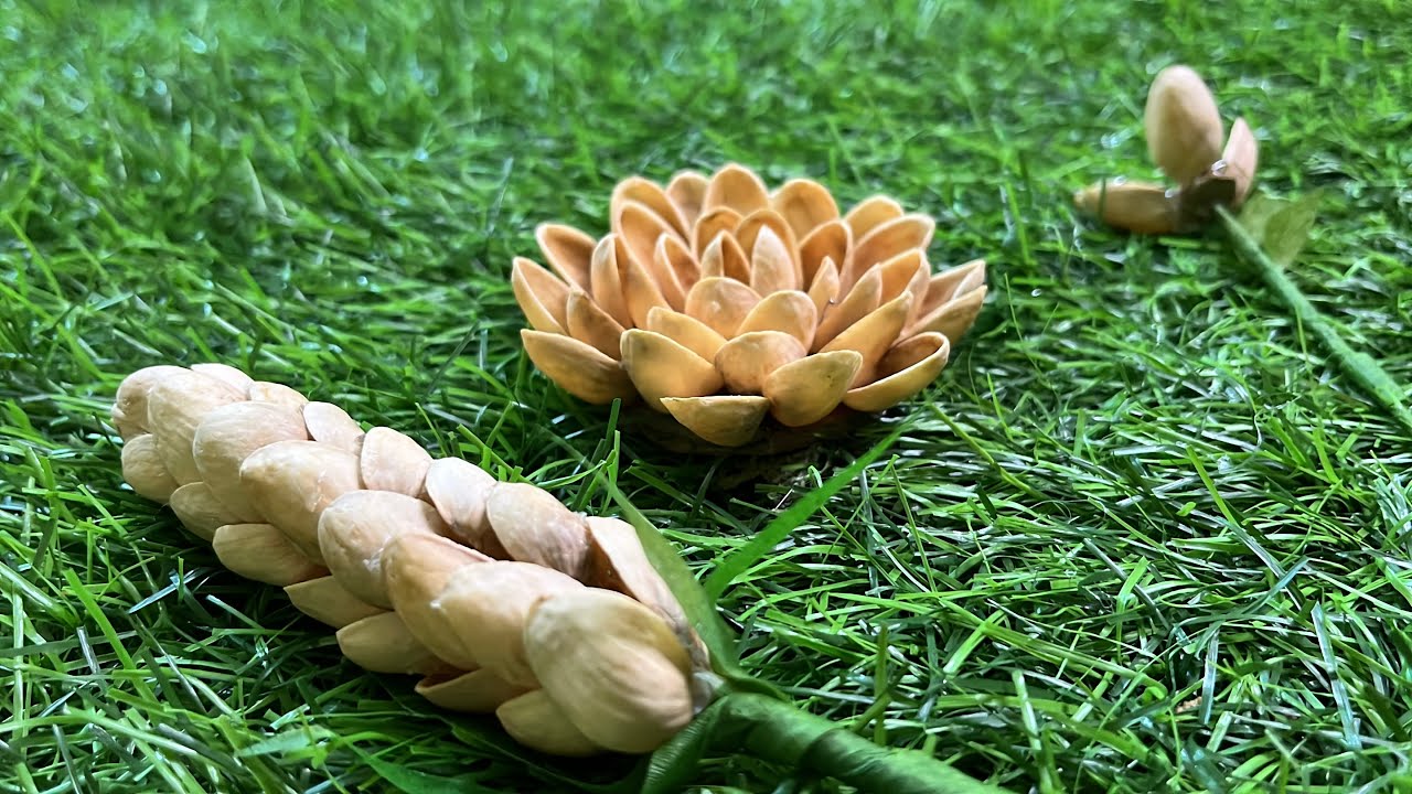 Pista shell flower making | reuse ideas | pista crafts | Black pulse ...