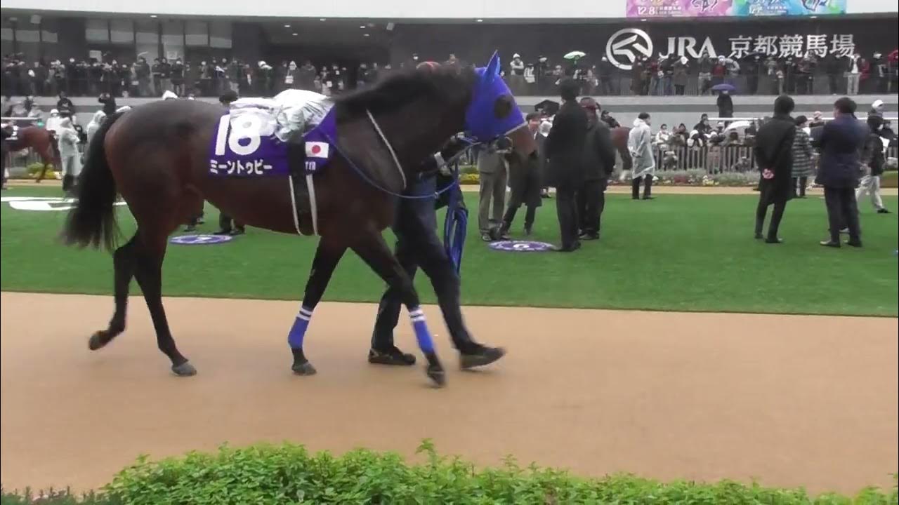 20241208 京都11R 阪神JF - YouTube