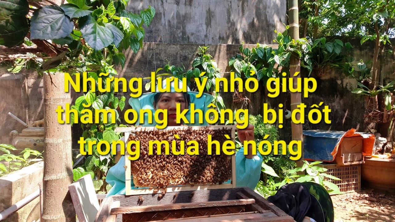 Những lưu ý nhỏ giúp thăm ong khôg bị đốt trong mùa hè nóng # ...