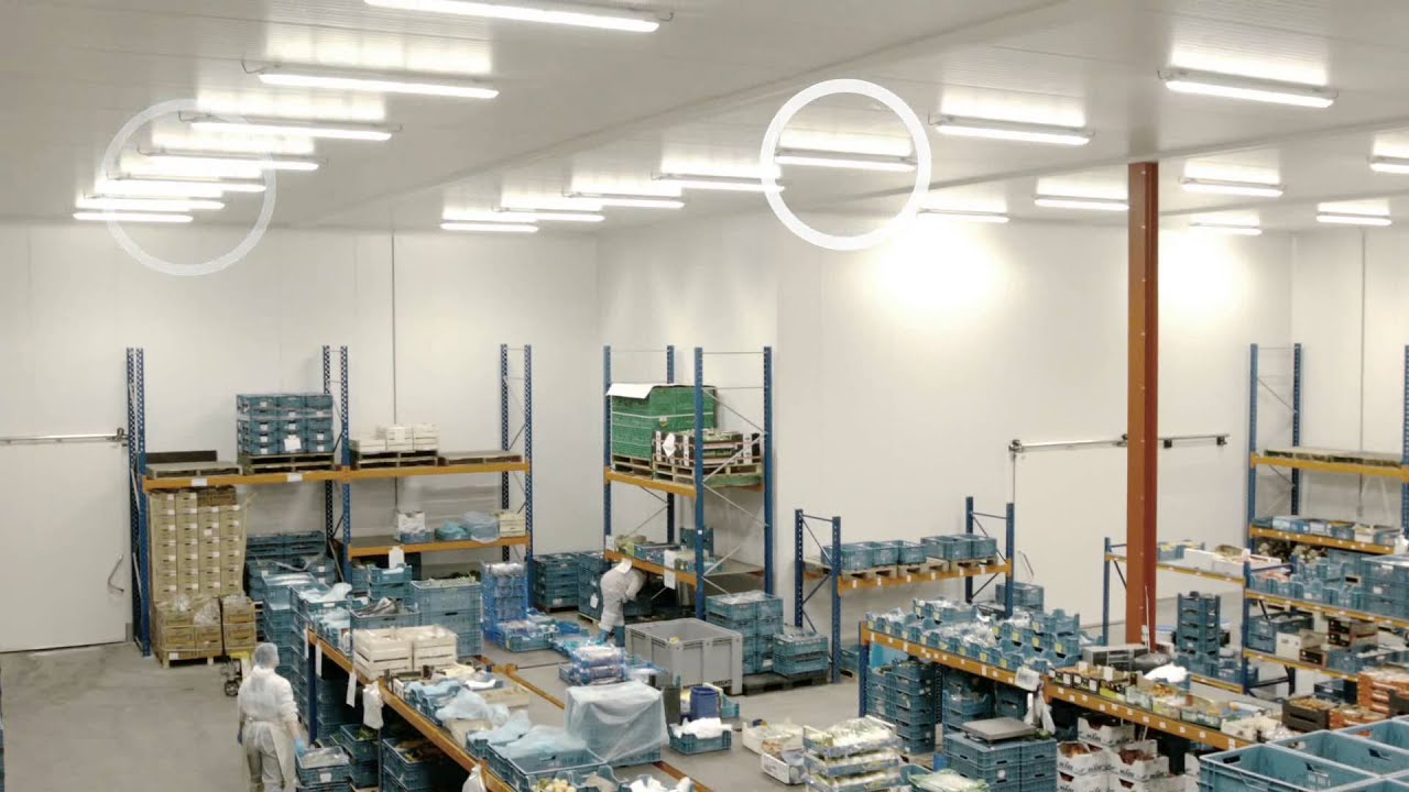 PT Philips CoreLine Range Movie - YouTube