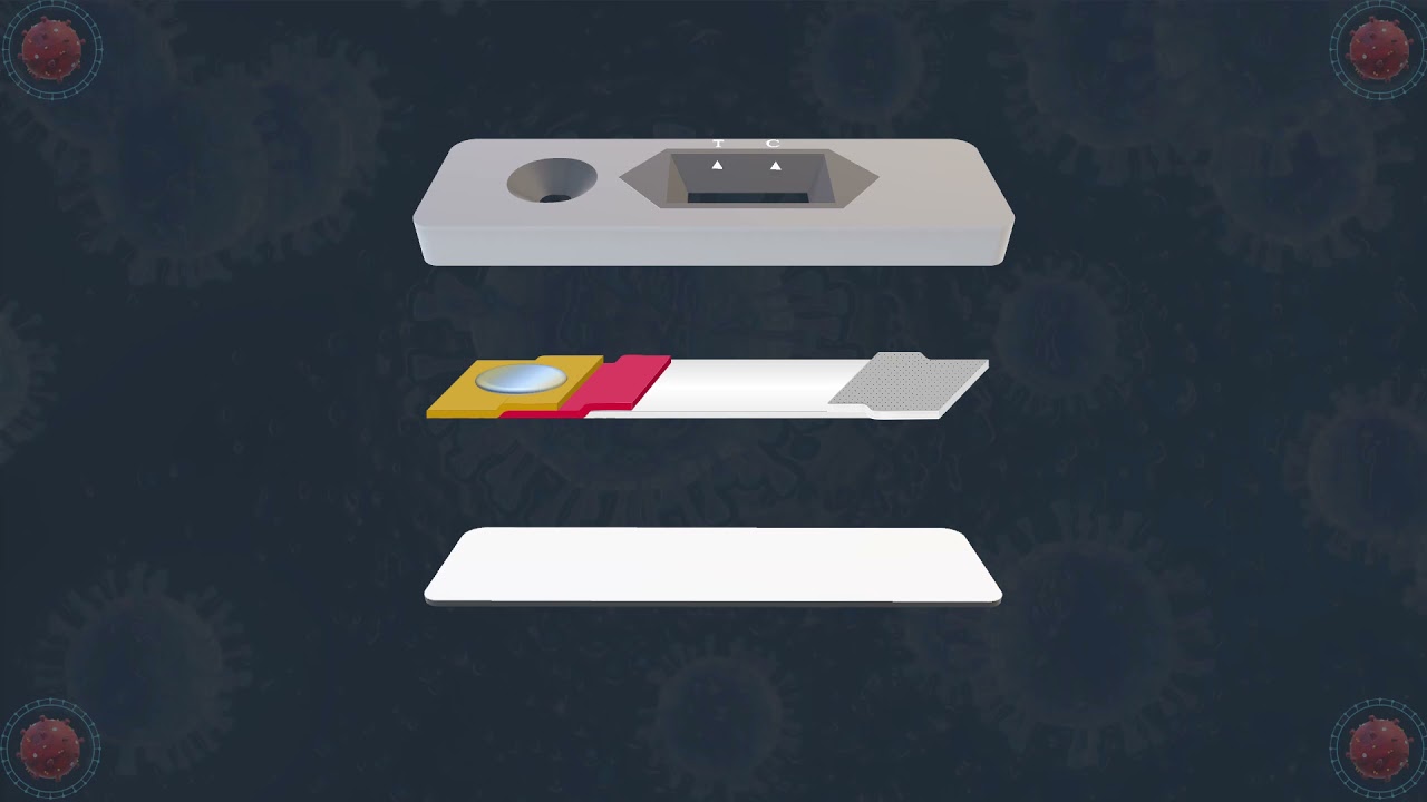 COVID 19 Antigen Rapid Test - Animation video - YouTube