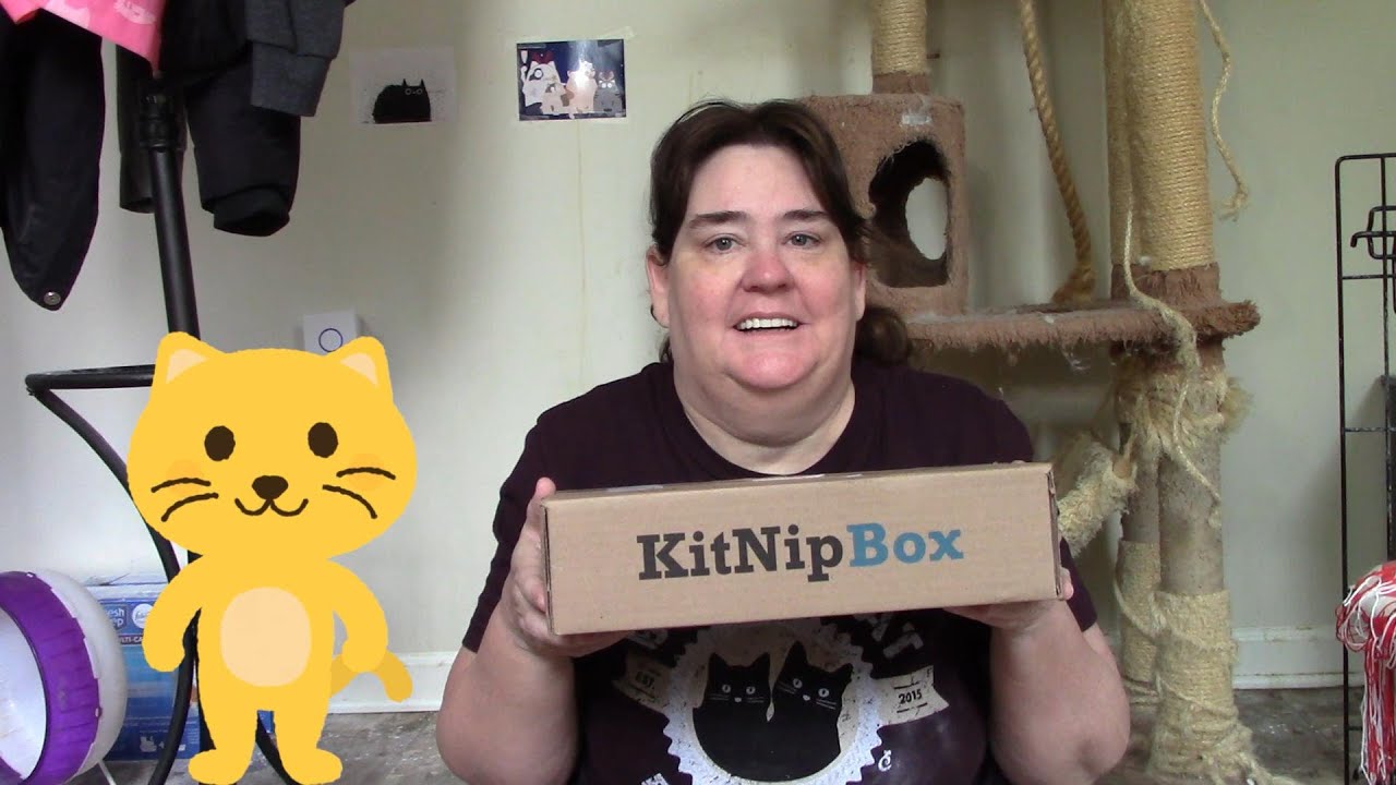 Kitnip Box Fast food Theme June 2023 😻 - YouTube