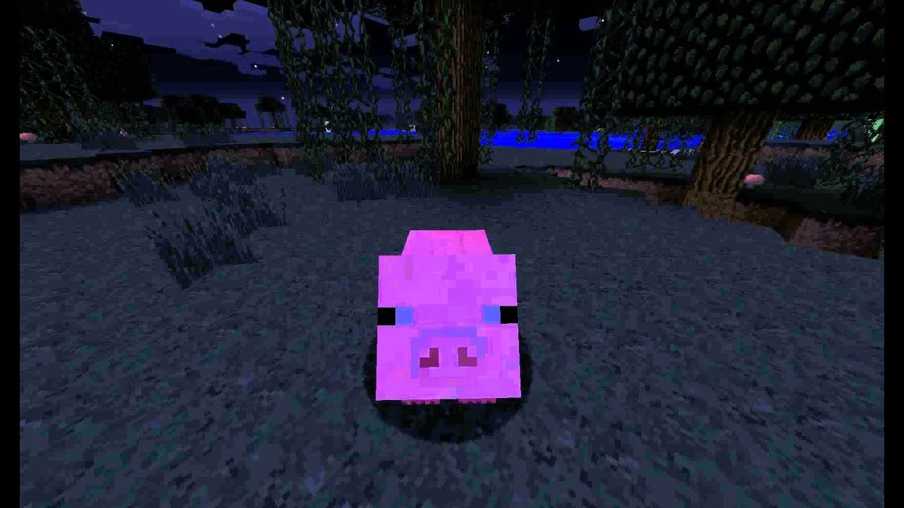 Evil Pig Stare - YouTube