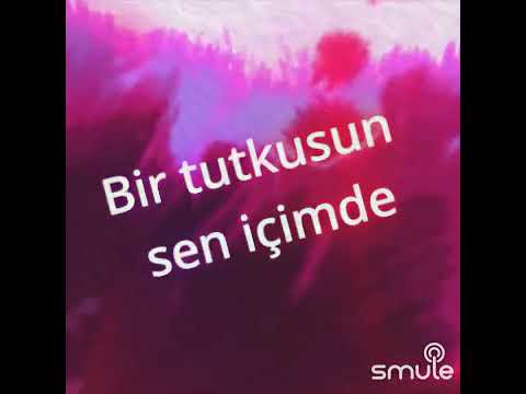 arkadaşımsın