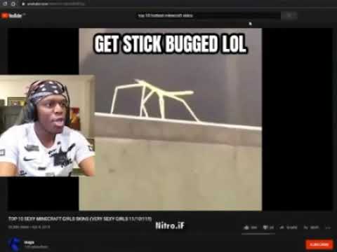 Get Stick Bugged Lol Meme Compilation - YouTube