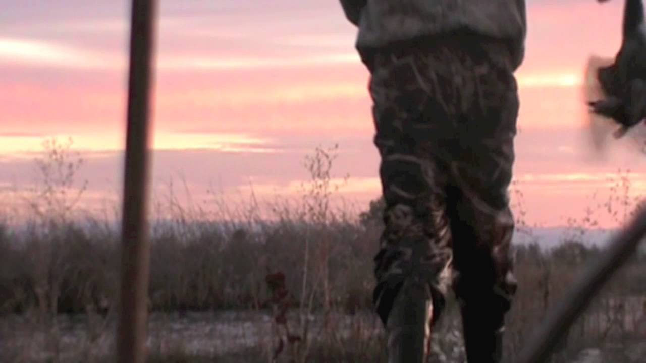 Persian Duck Hunting - YouTube