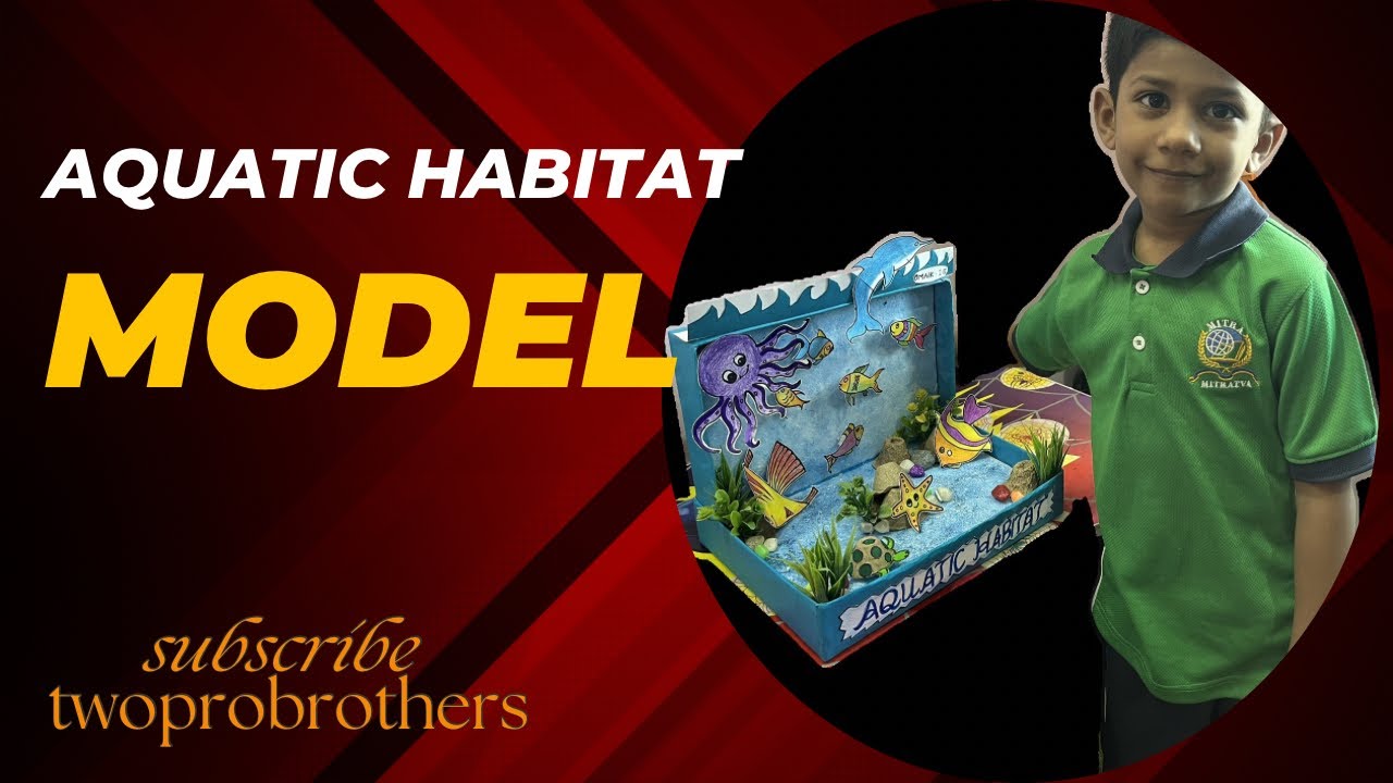 Aquatic Habitat model making using cardboard and paper | gift box - YouTube
