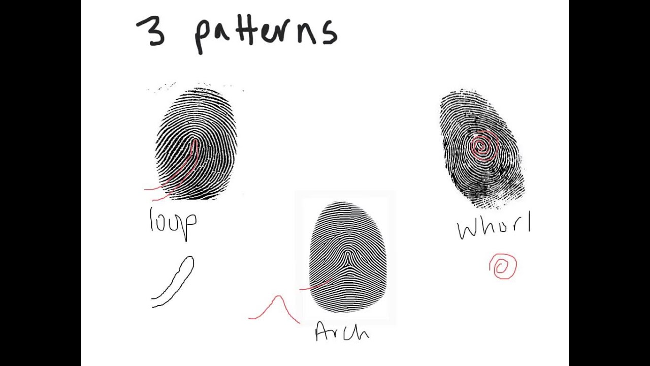 Fingerprints - YouTube