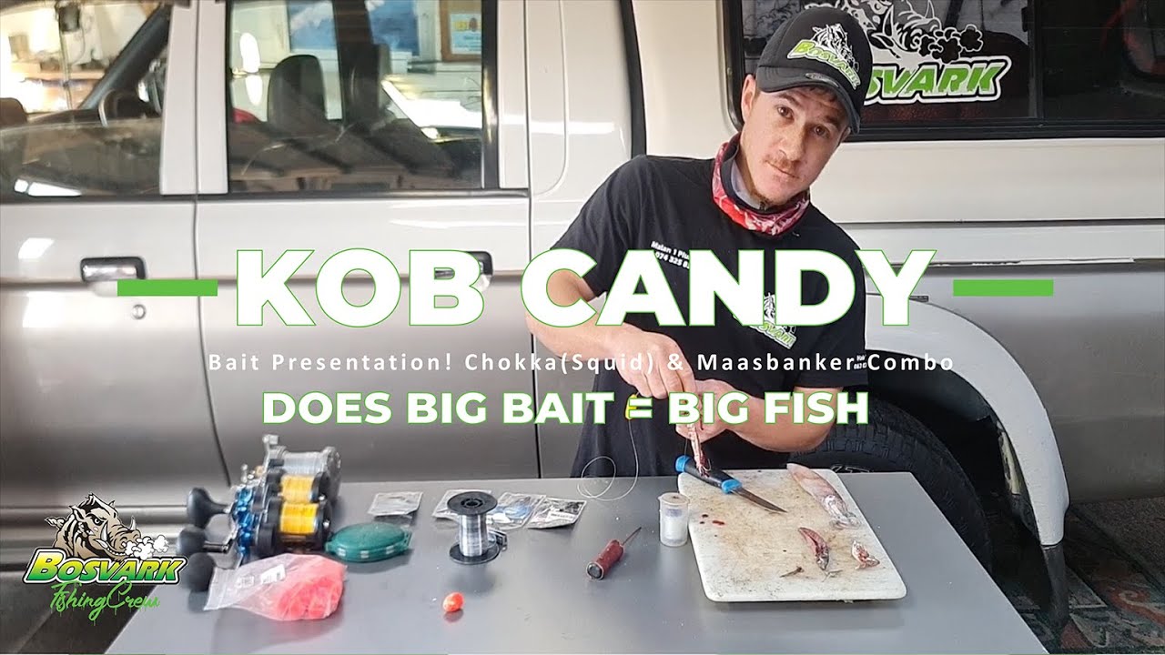 KOB CANDY Bait Presentation! Chokka(Squid) & Maasbanker Combo - YouTube