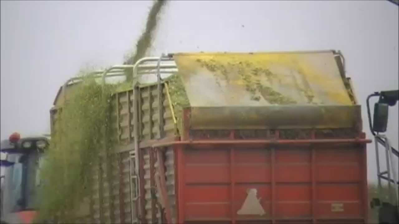 Silage 2014 - YouTube