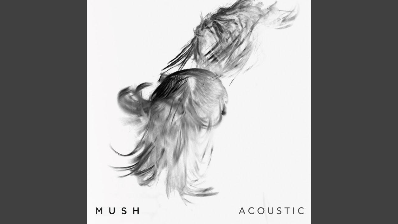 Mush (Acoustic) - YouTube Music