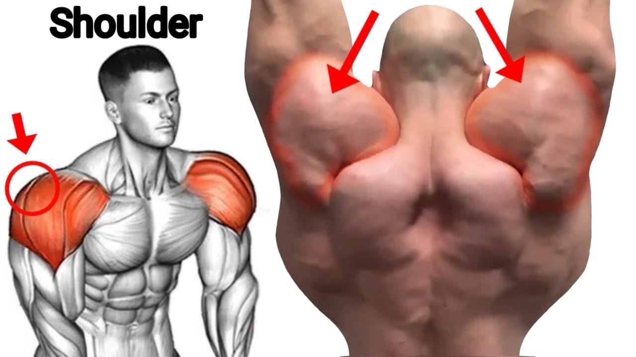 Best Shoulder Workout | Front Delt - Side Delts - Rear Delt | Maniac ...