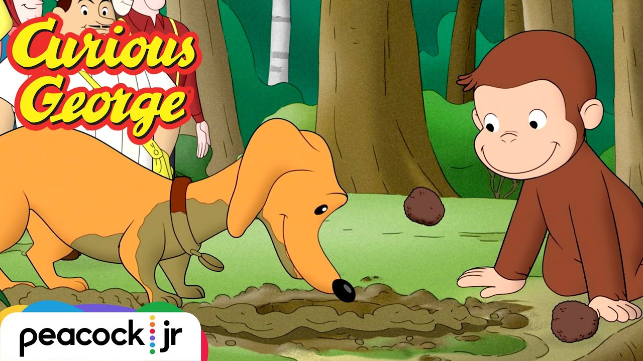George Forages in the Forest | CURIOUS GEORGE - YouTube