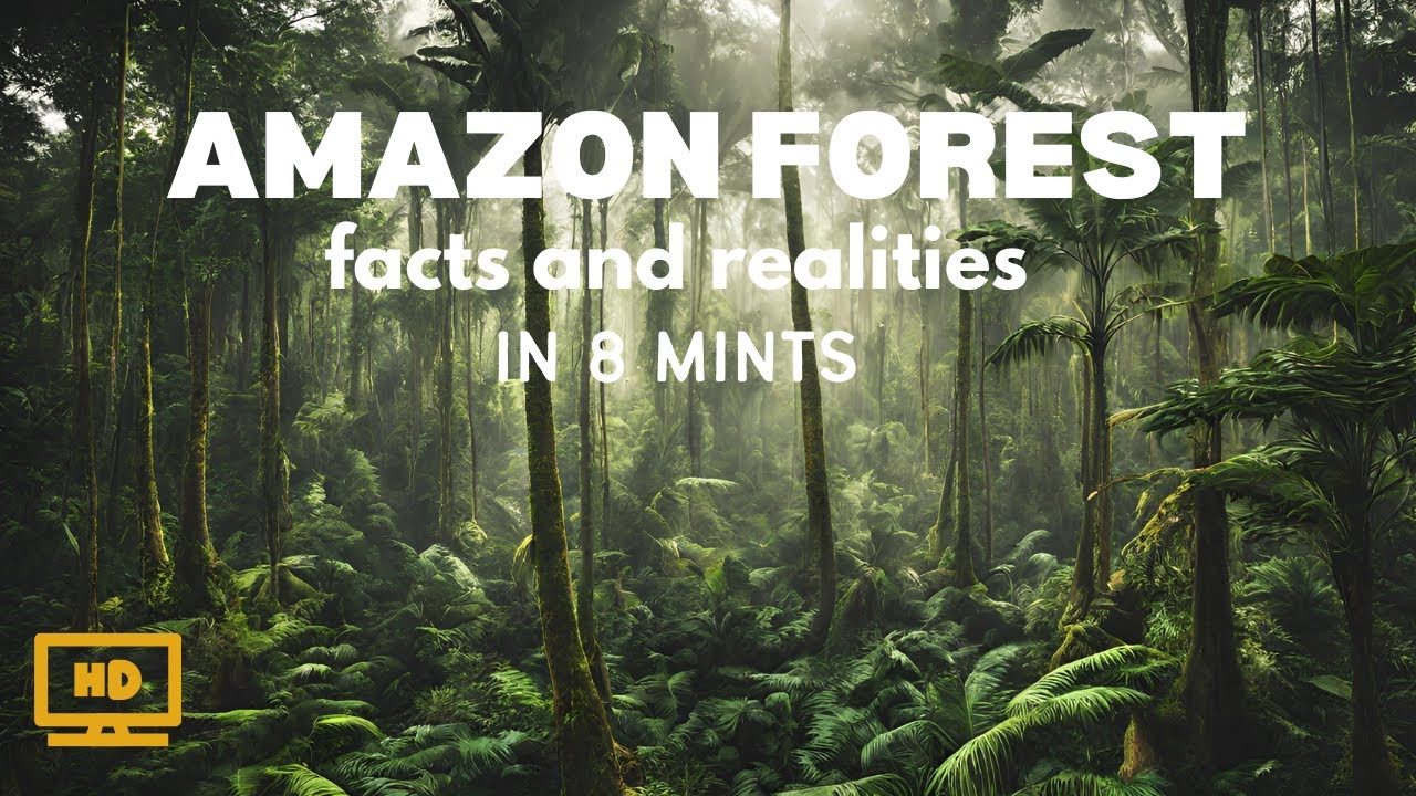 AMAZON RAIN FOREST😲,WORLD'S LARGEST FOREST. FACTS ABOUT AMAZON FOREST😱 ...