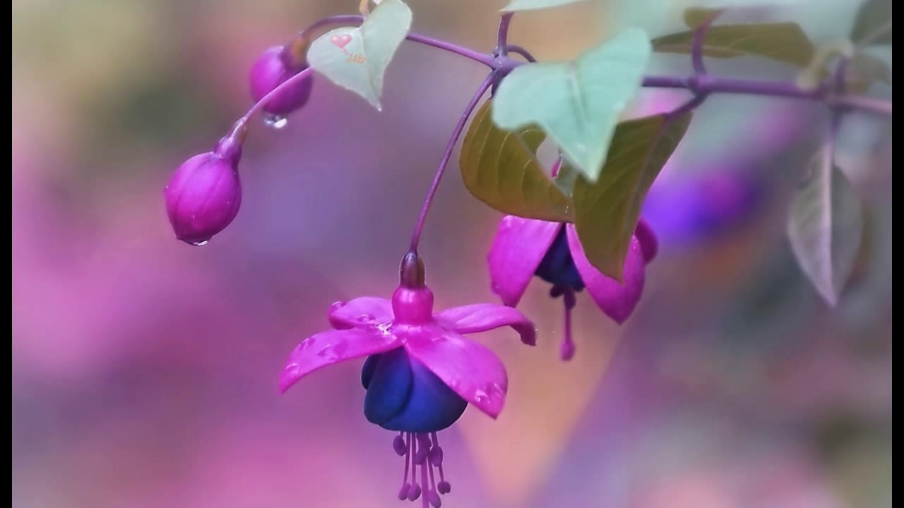 💫Παλιά🌼Λαϊκά🌼Τραγούδια🎶💖🎶💫 - YouTube