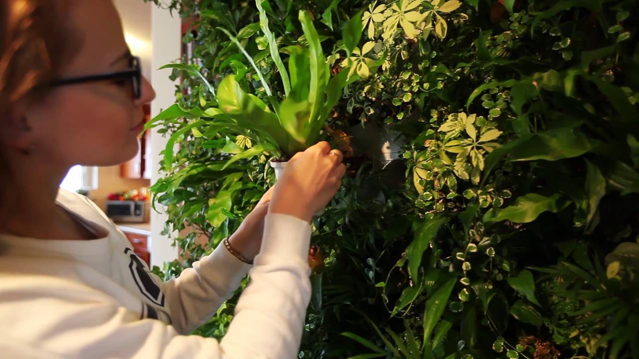 Terrawall by Terra Group | ogrody wertykalne | wnętrza - YouTube