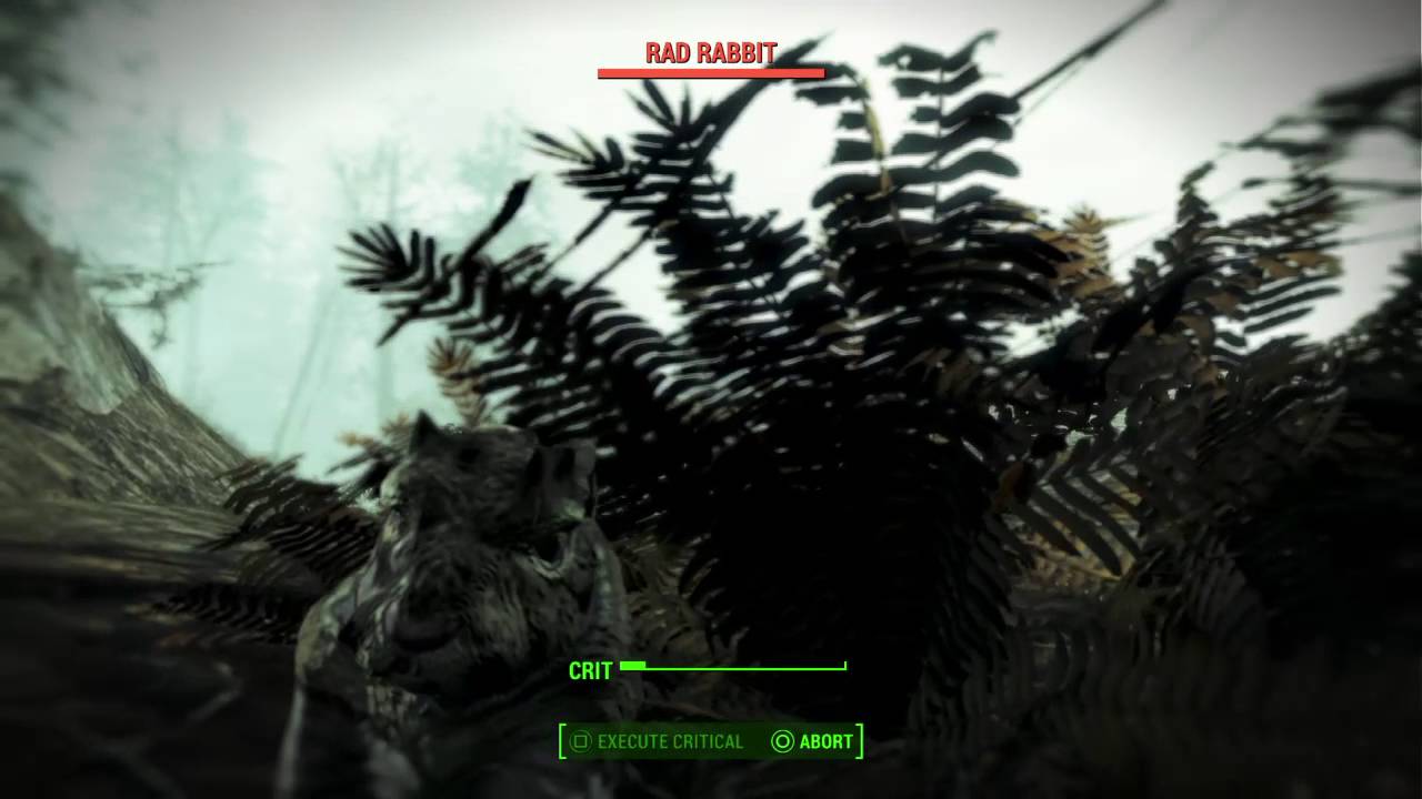 Fallout 4: Far Harbor Radiated Rabbit - YouTube