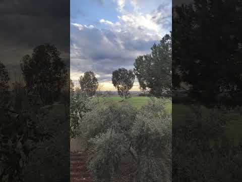 şarkıya bayıldım💿 #shorts #short #music #muzik #müzik #keşfet #shortsvideo #keşfetedüş #keşfetteyiz