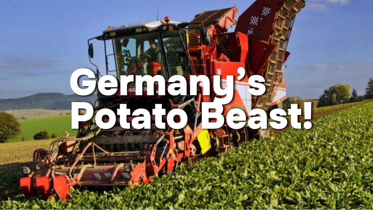 🔥 Unbelievable Potato Harvester from Germany – GRIMME EVO 280 Gen in ...