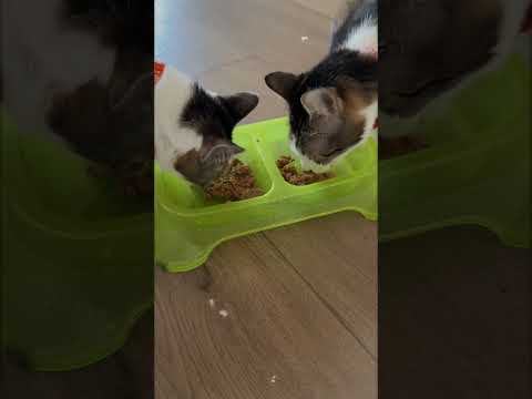 I’m so hungry, super duper hungry😋