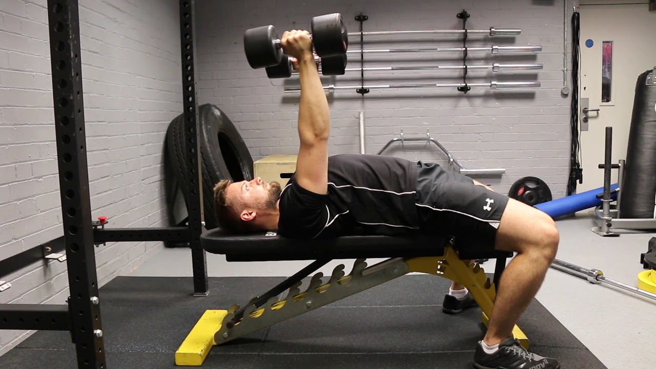Neutral Grip Dumbbell Press Exercise - YouTube