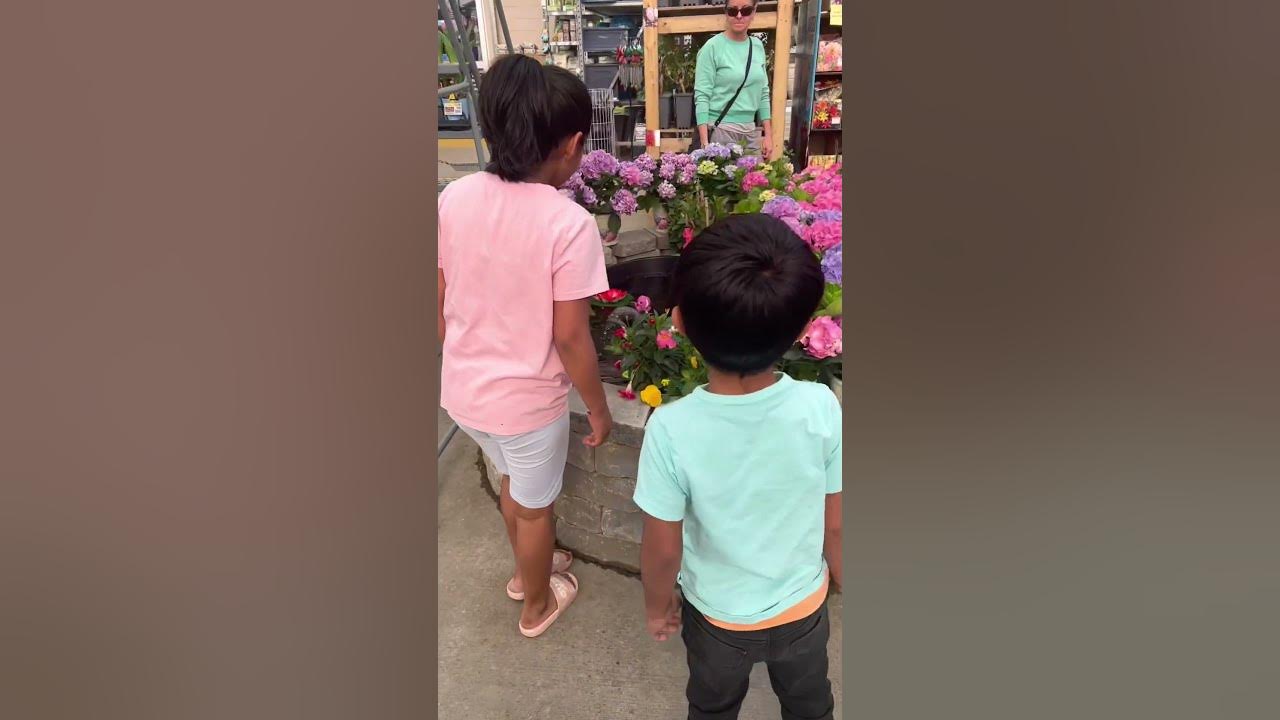 Beautiful spring flowers 🌺😍#shorts #ytshorts #sanu #krishu #krishuskingdom - YouTube