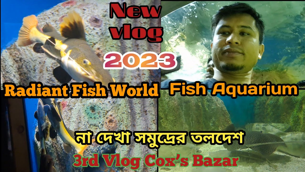 Radiant fish world 2023 new vlog || সমুদ্রের রহস্য ||রেডিয়েন্ট ফিস ...