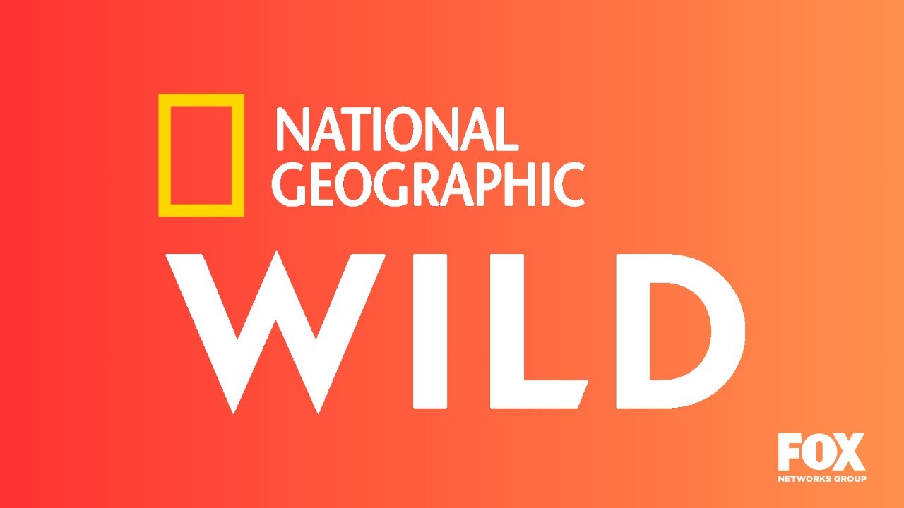 National Geographic Wild ident 2016 - YouTube