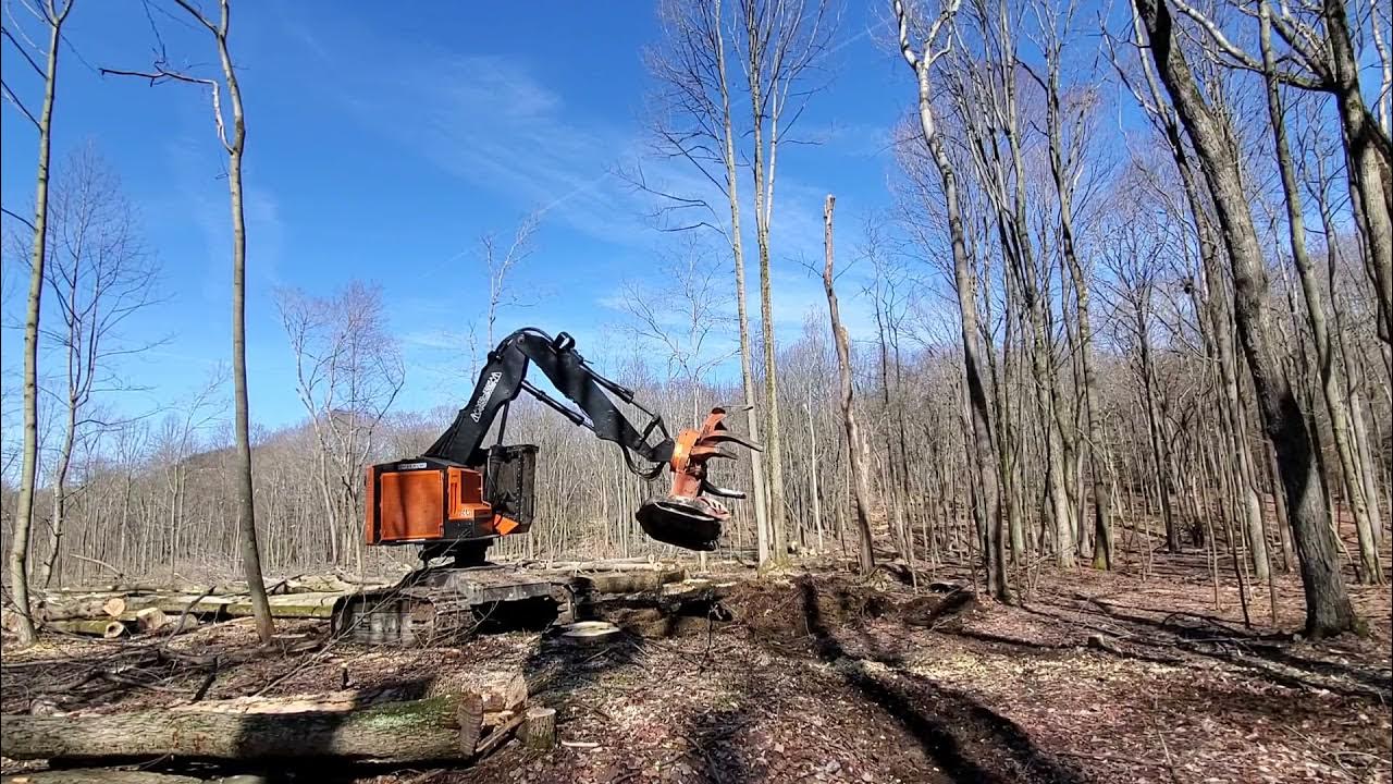 Timberpro TL755D Quadco 27SC Hotsaw Feller buncher - YouTube