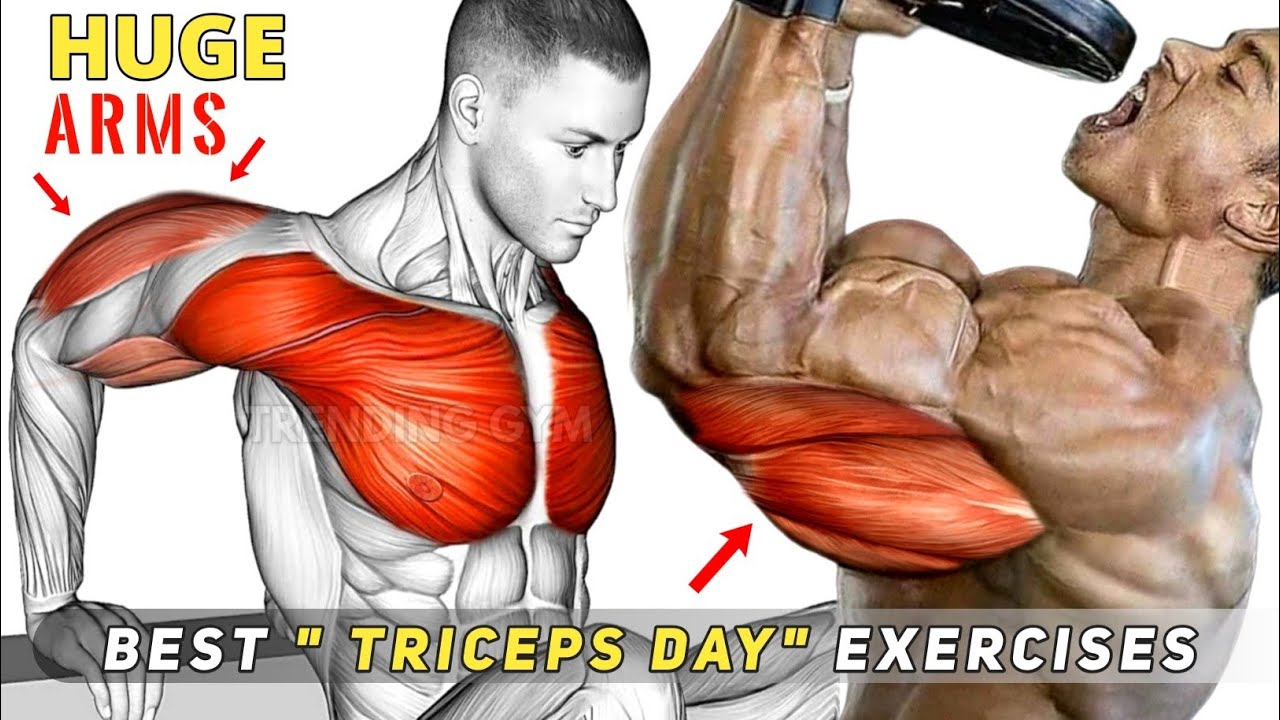 Triceps Day Exercises - (8 Best ARMS Workouts Routine) - YouTube