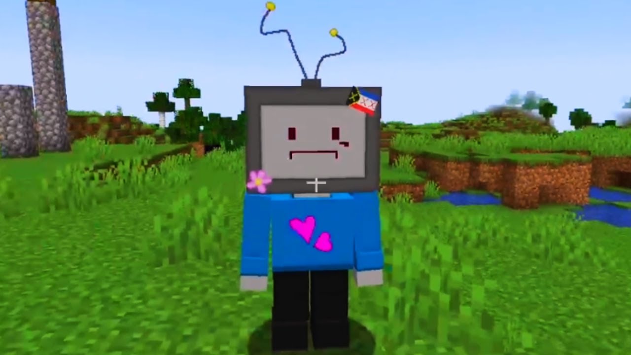 This is how Tommyinnit sees Chat! - YouTube