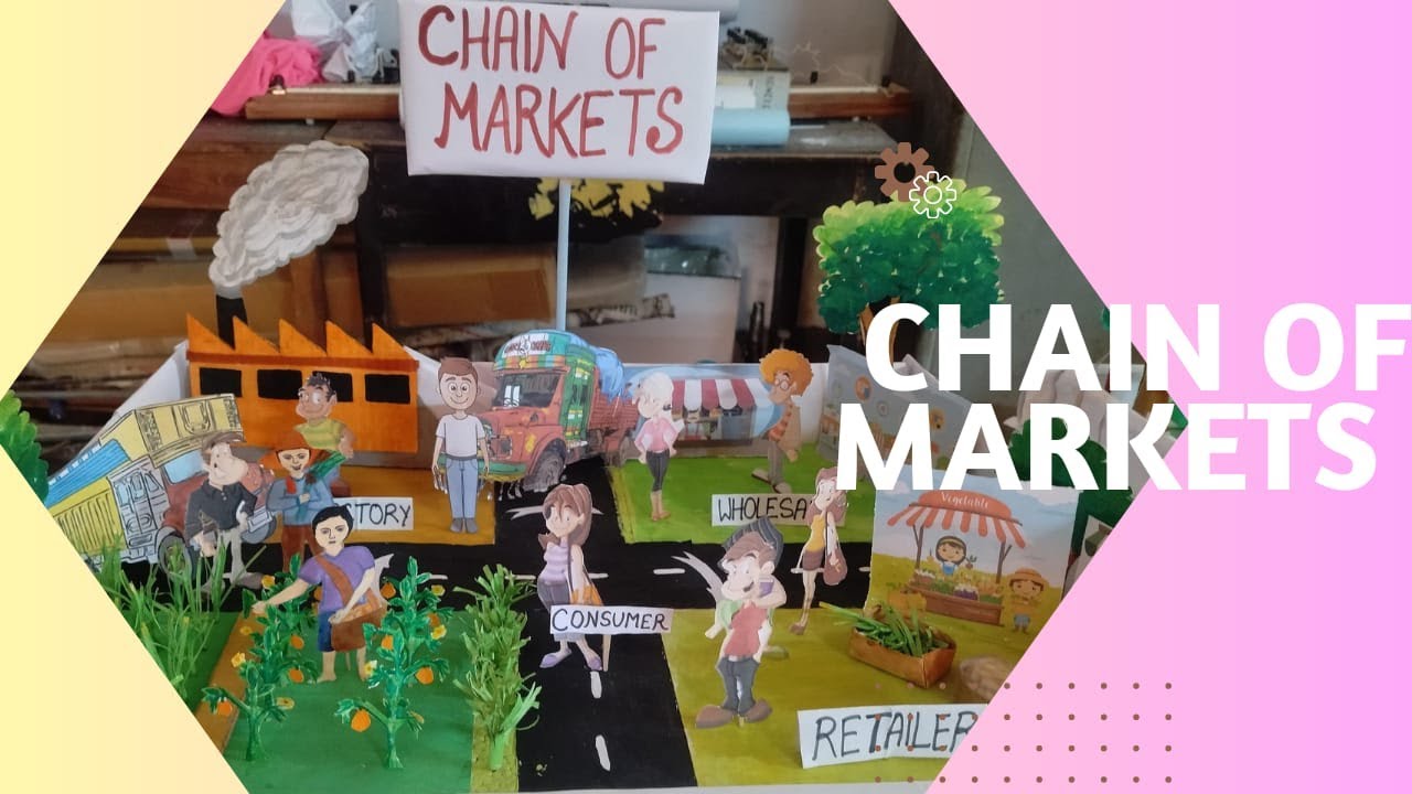Chain Of Markets || Civics Model or Project ||Class 7|| Civics\Social ...