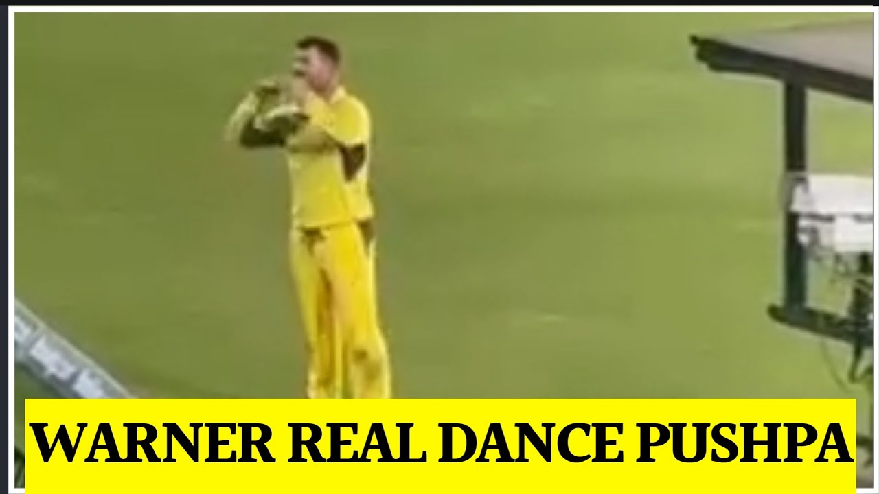 David warner Pushpa Dance | warner century celebrate in pushpa style ...