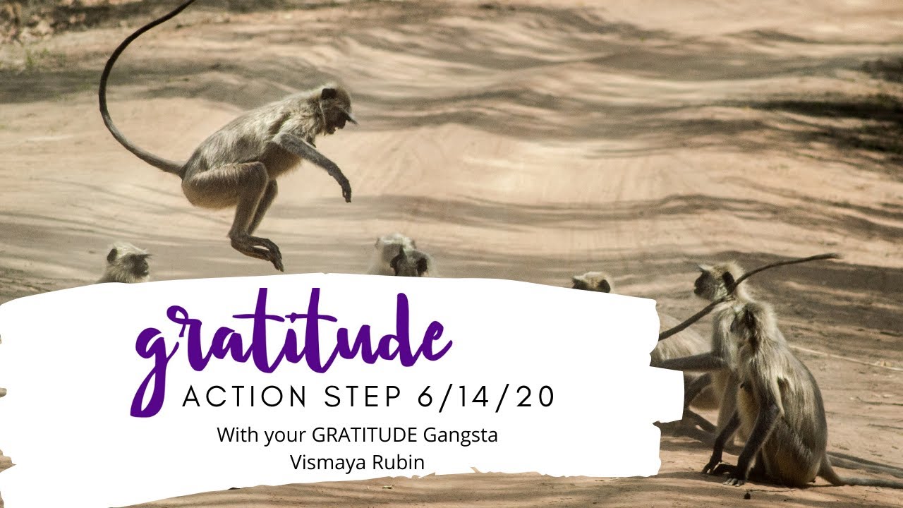 Daily GRATITUDE Action Step 6/14 - YouTube