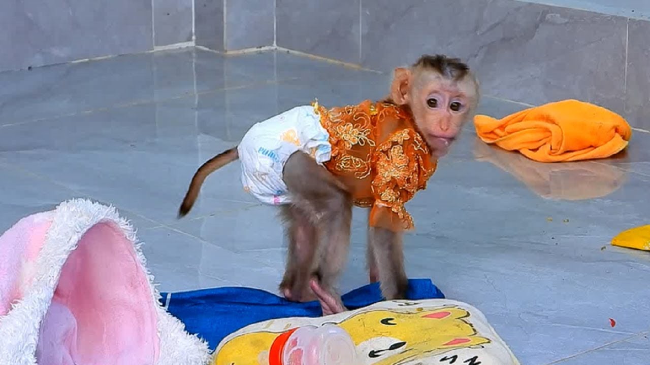 Vicky is really messy, making a mess of the whole house - YouTube