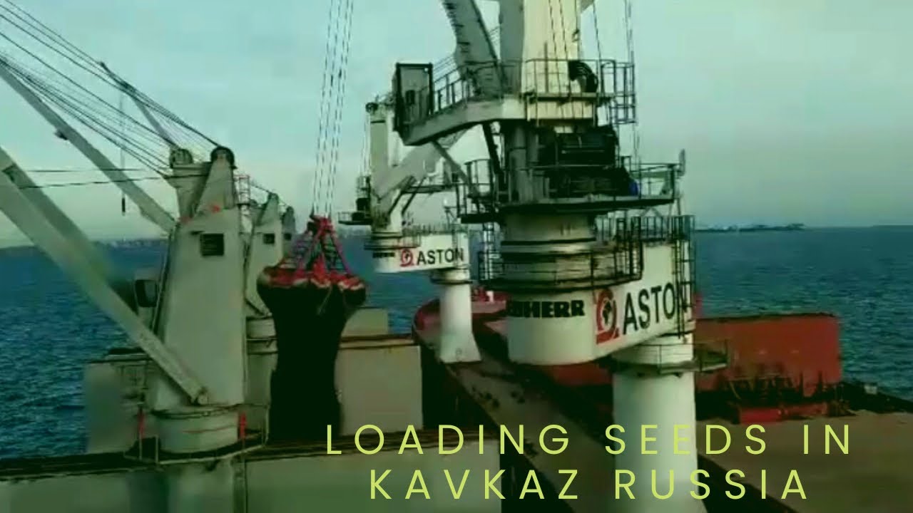 Bulk ship loading Seeds in Kavkaz Russia to Belgium! #seamanslife # ...
