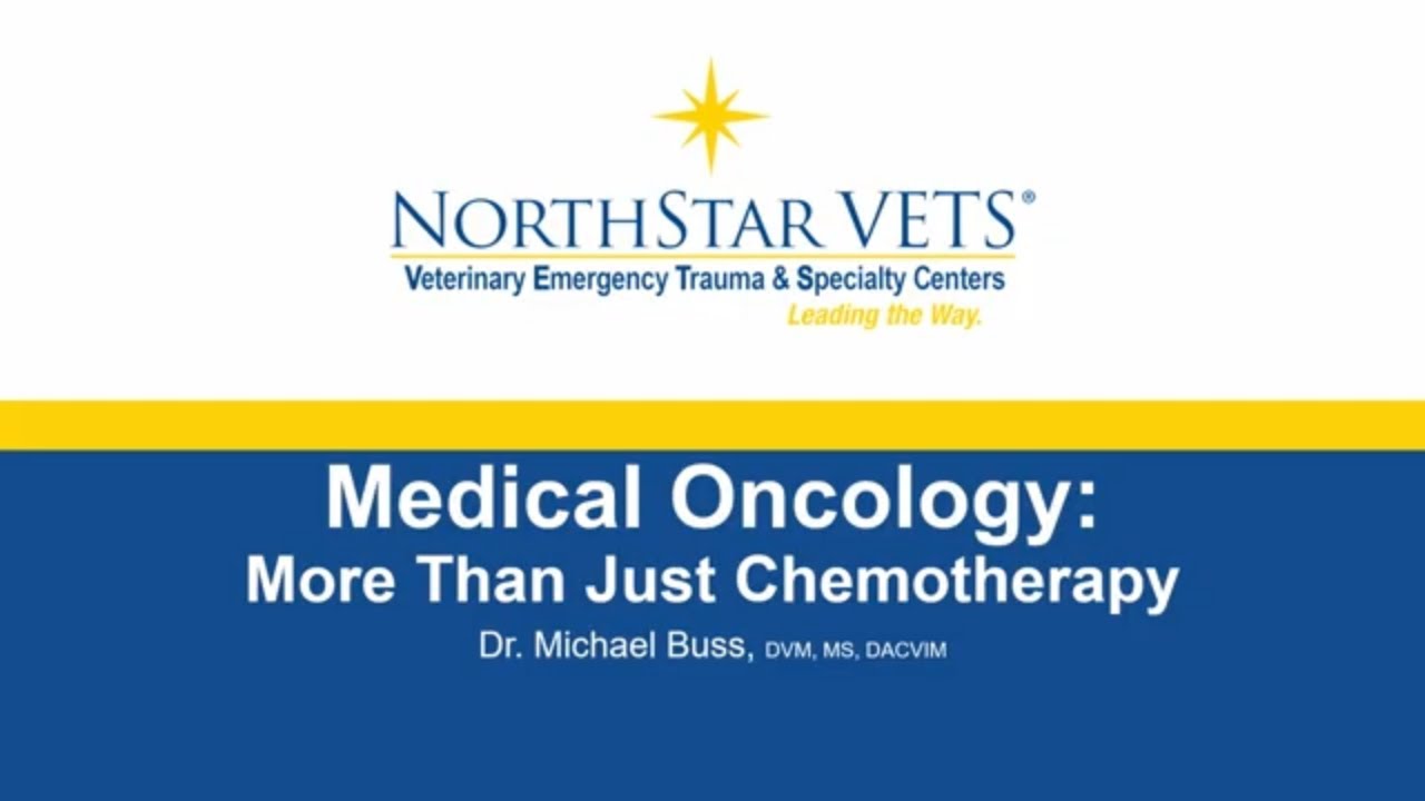 Veterinary Oncology Innovations: Exploring New Treatments with Dr ...