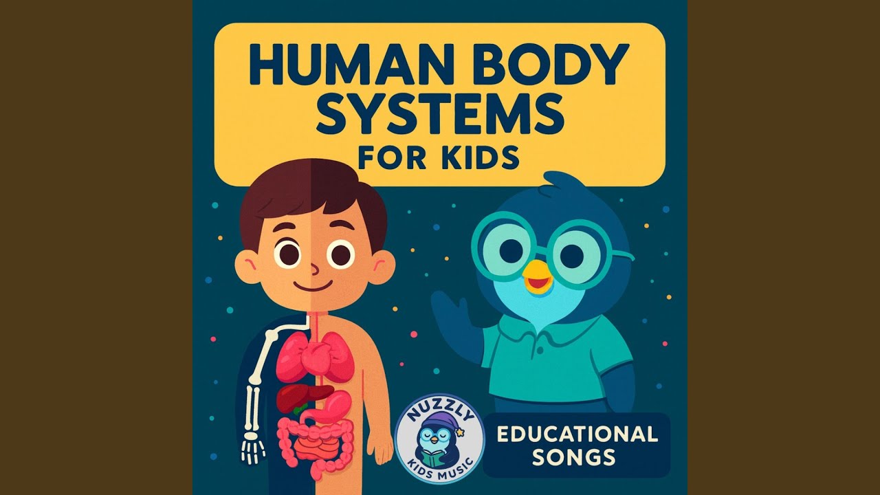 Urinary System for Kids — Kidneys, Bladder & Body Clean-Up Song - YouTube