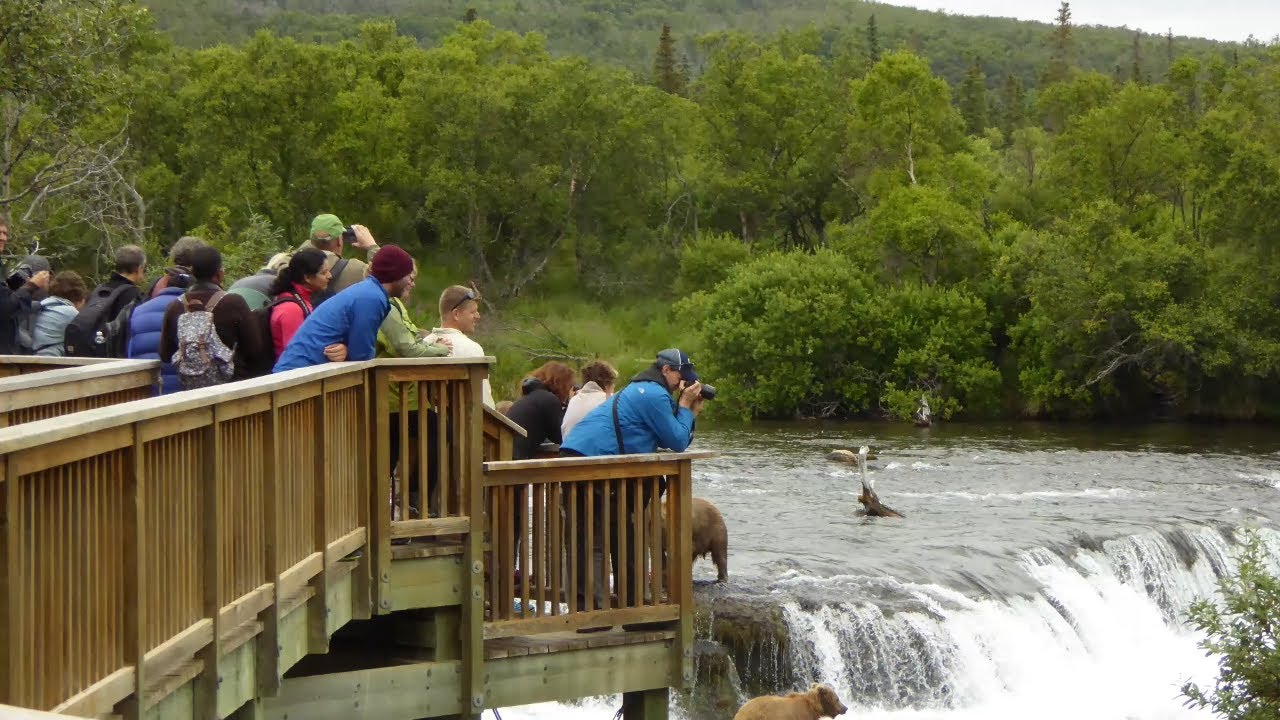 Katmai National Park Ranger Tips for Visiting Brooks Camp - YouTube