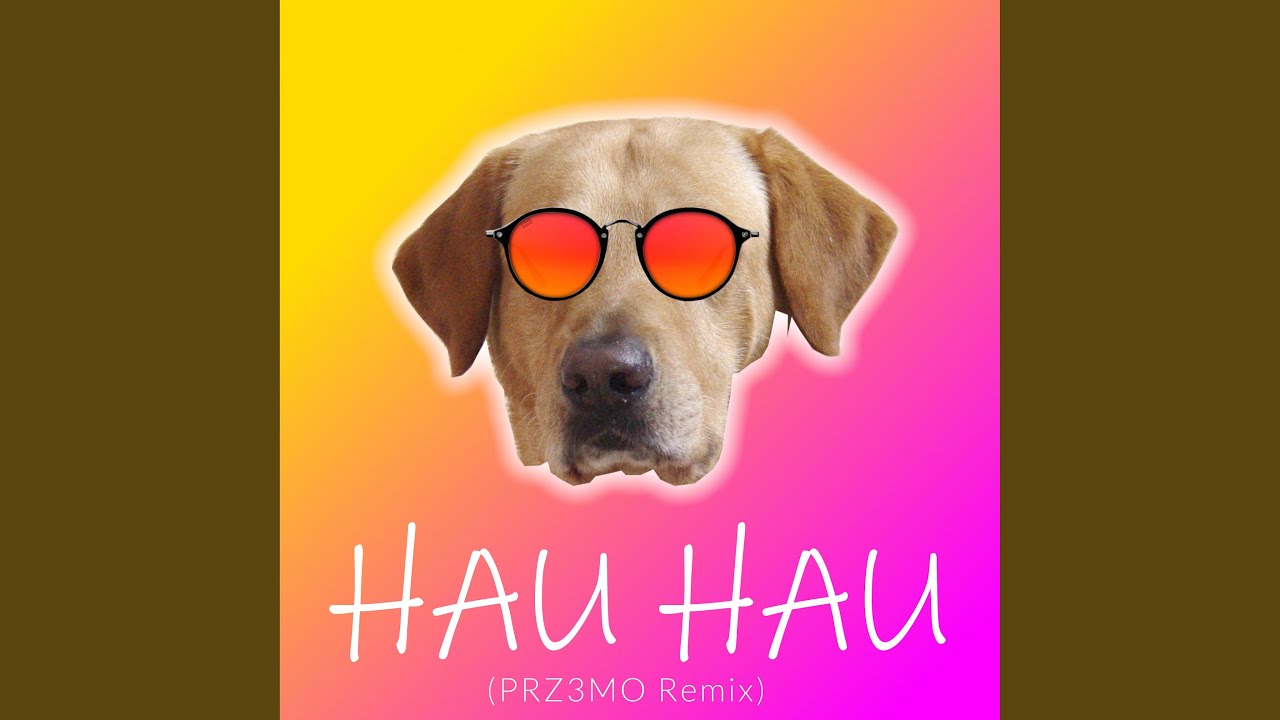Hau Hau PRZ3MO Remix YouTube hau-hau-prz3mo-remix-youtube