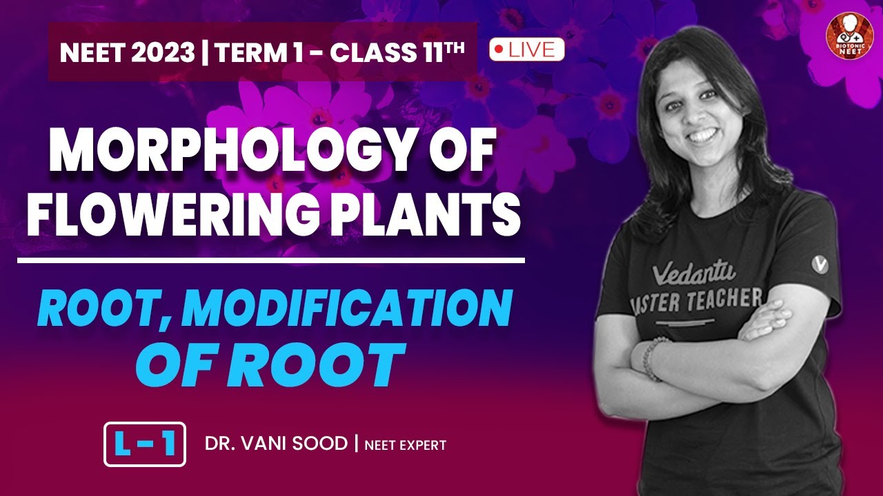 Morphology of Flowering Plants - L1 | Modification of Root | Class 11 ...