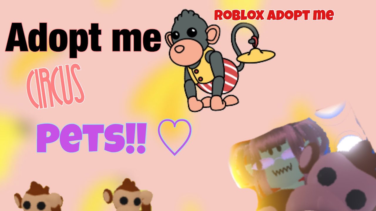 Adopt me! CIRCUS PETS- Exploring the new update! + Monkey Treehouse ...