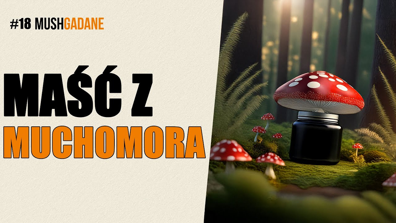 18# Jak Zrobić Maść z Muchomora Czerwonego? - YouTube